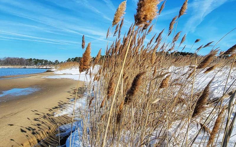 Climate Change – Chesapeake Bay Environmental Center