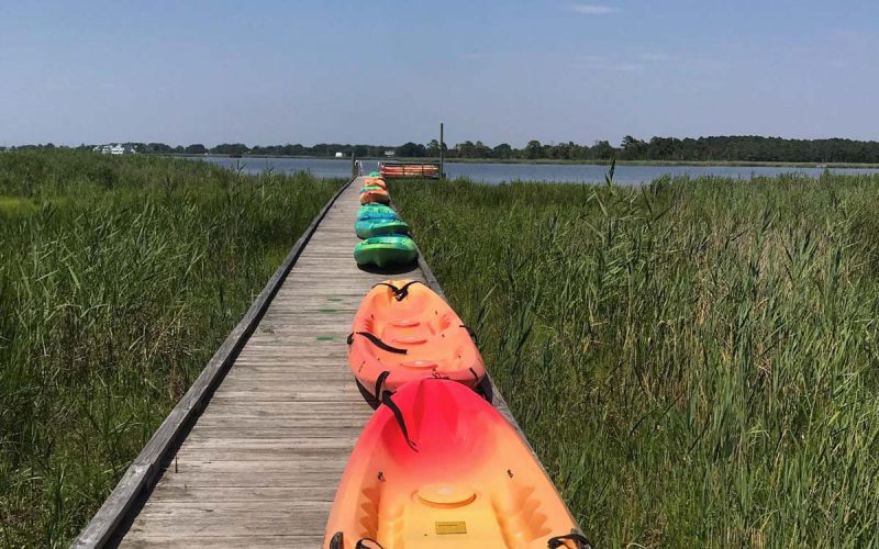 Climate Change – Chesapeake Bay Environmental Center