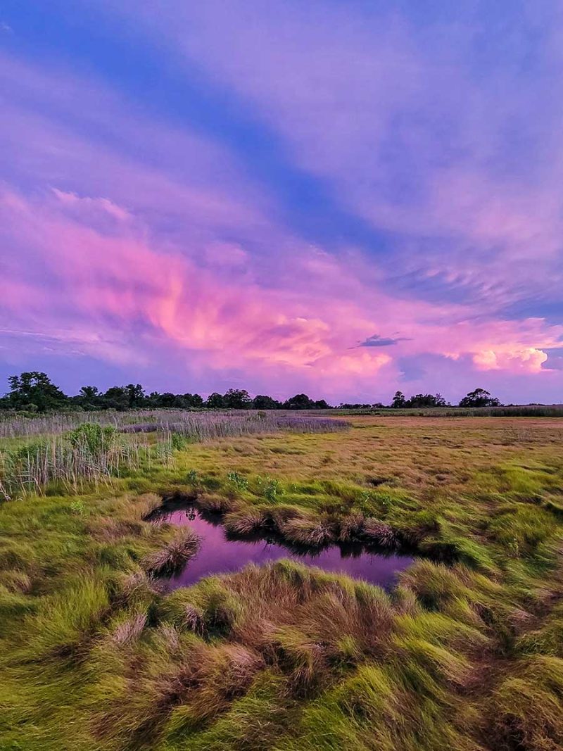 Climate Change – Chesapeake Bay Environmental Center