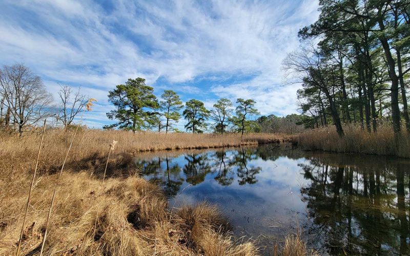 Climate Change – Chesapeake Bay Environmental Center