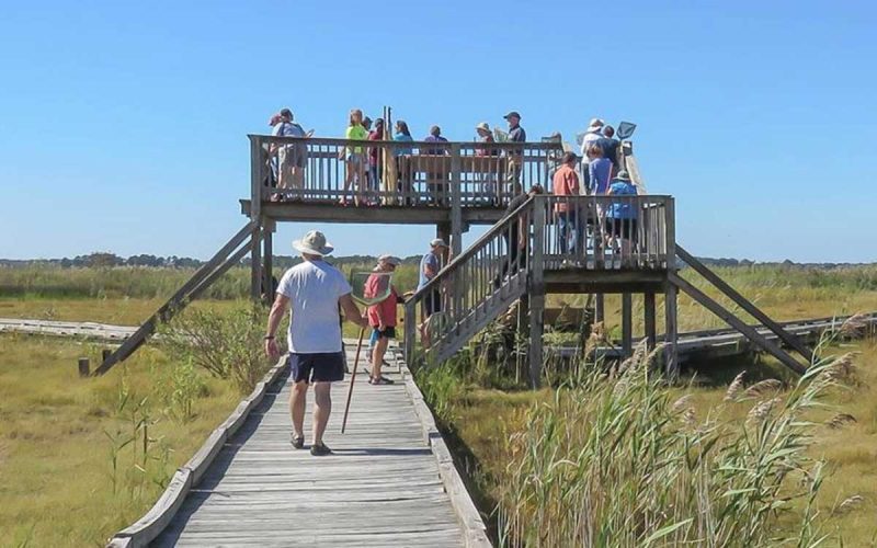 Climate Change – Chesapeake Bay Environmental Center