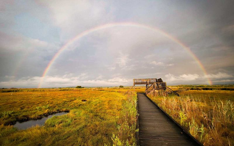 Climate Change – Chesapeake Bay Environmental Center