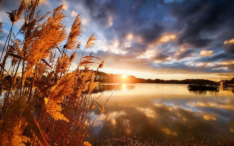 Climate Change – Chesapeake Bay Environmental Center