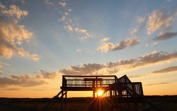 Climate Change – Chesapeake Bay Environmental Center
